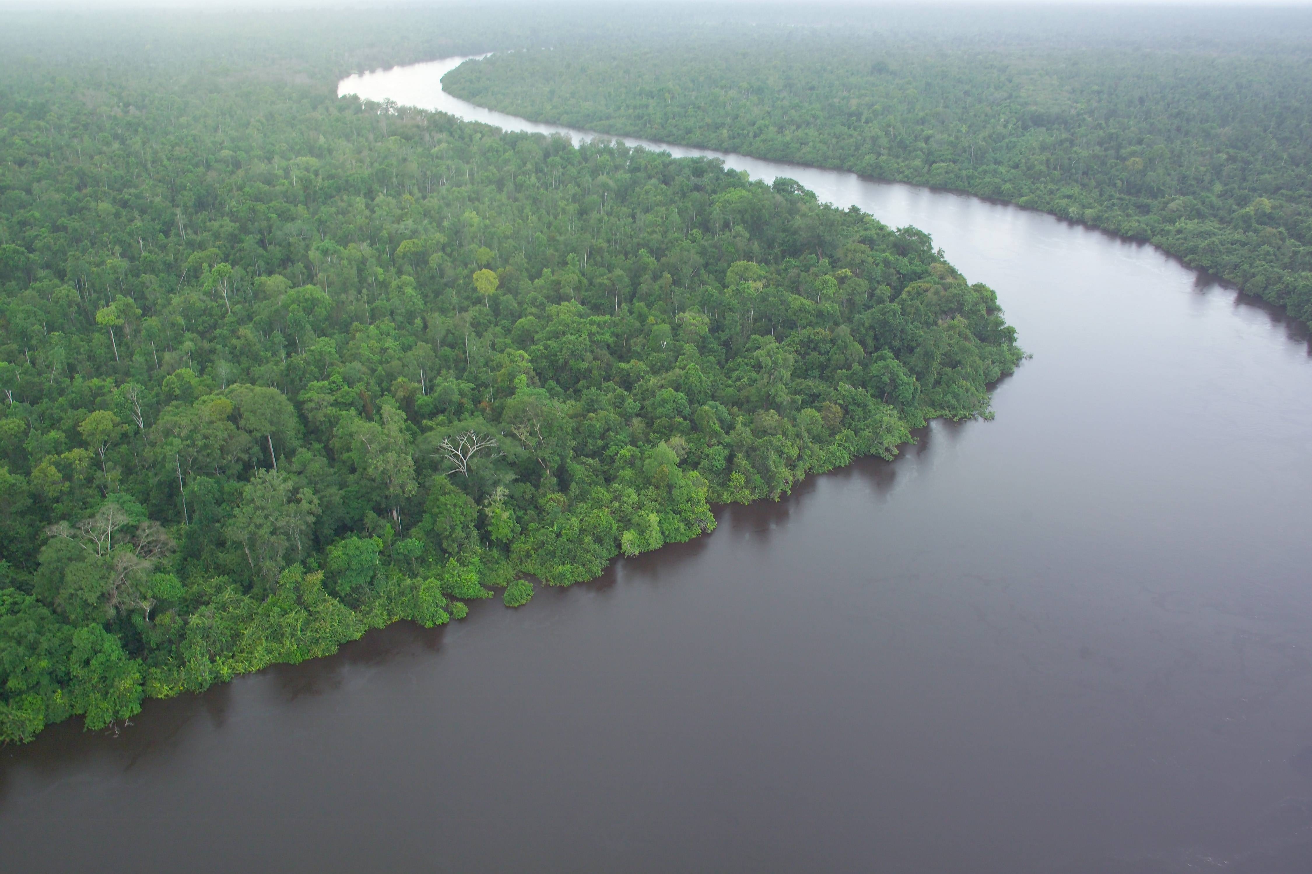 New York Times Op-ed: How to Save Indonesia’s Forests - Redstone ...
