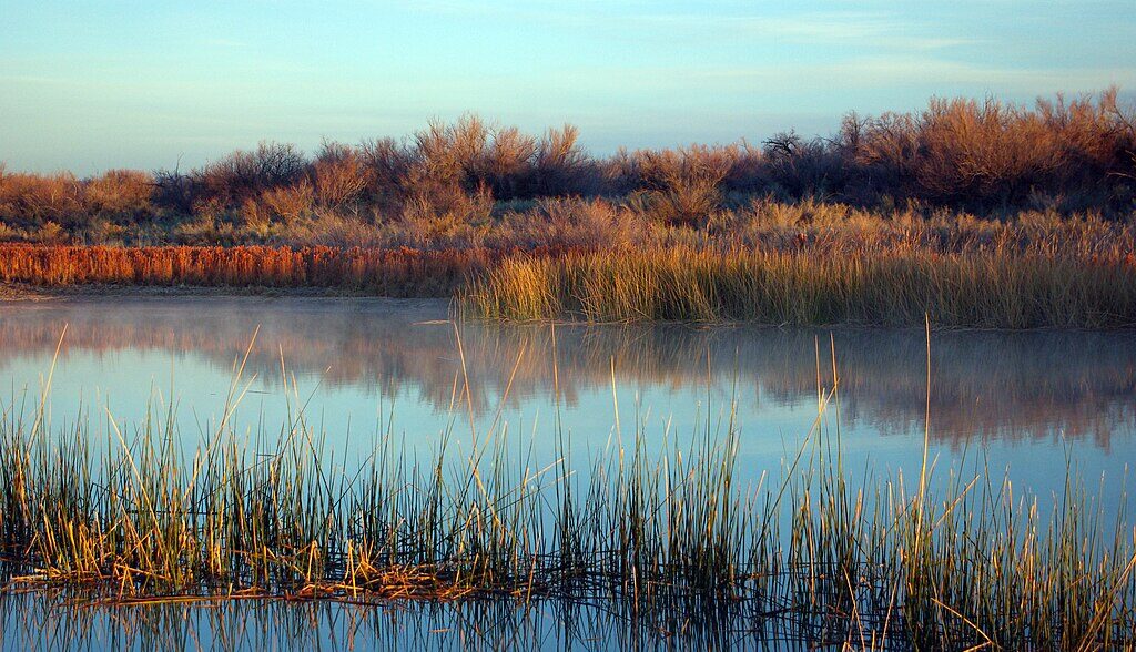 Our History 2003 2023 Redstone Strategy Group